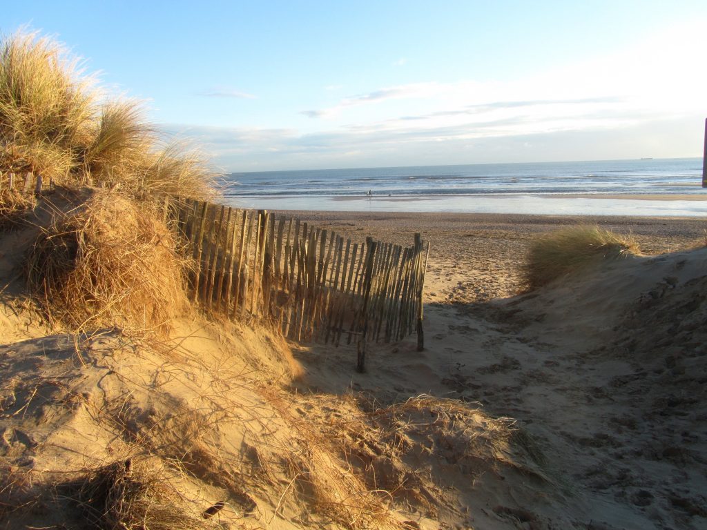 Reasons to Visit Charming Rye - Visit Rye Bay in Sussex