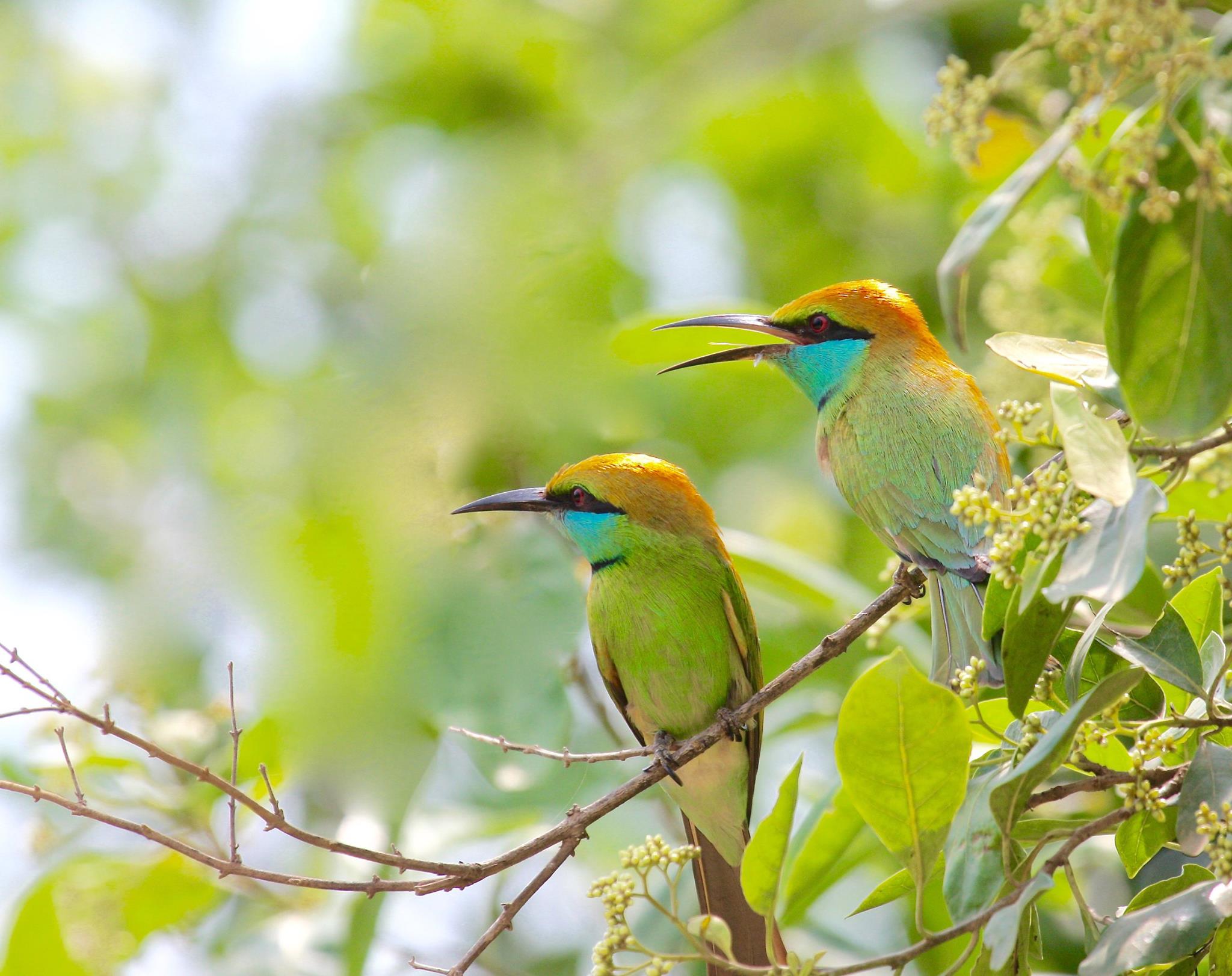 Simon Ginnaw - Visit Rye Bay in Sussex