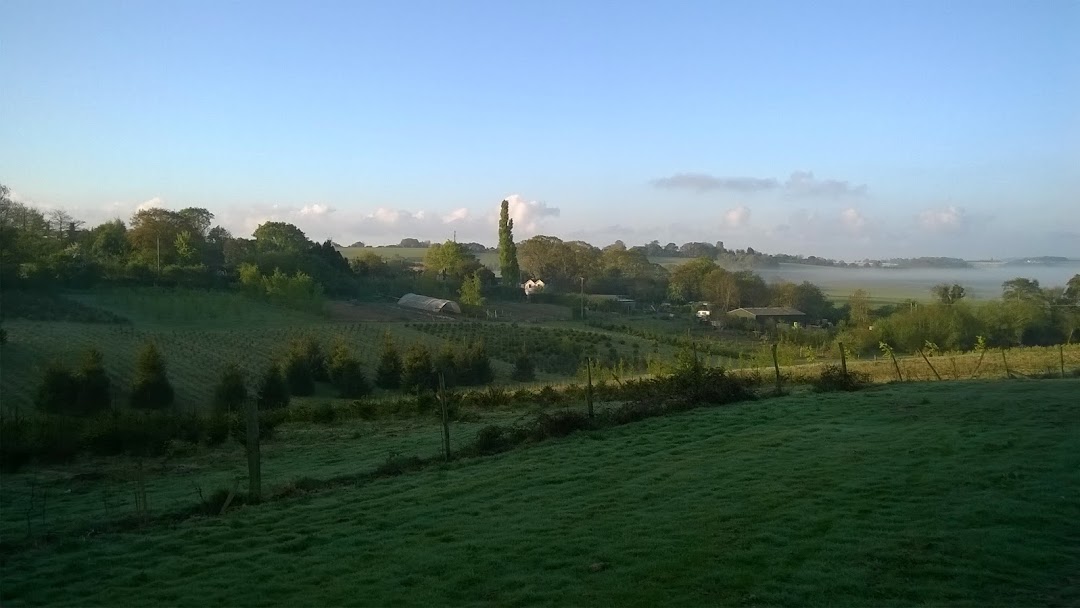 Dengate’s Farm Stall - Visit Rye Bay in Sussex