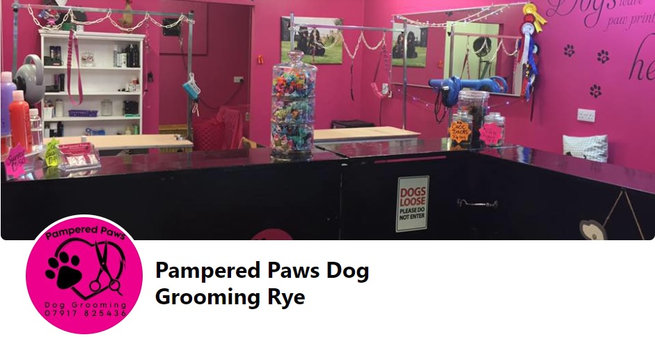 Pampered Paws Dog Grooming - Visit Rye Bay in Sussex