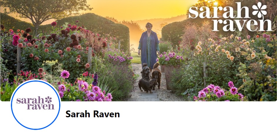 Sarah Raven - Visit Rye Bay in Sussex